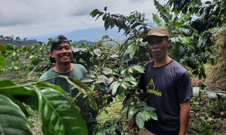 Amati - Sustainable Solutions for Indonesia